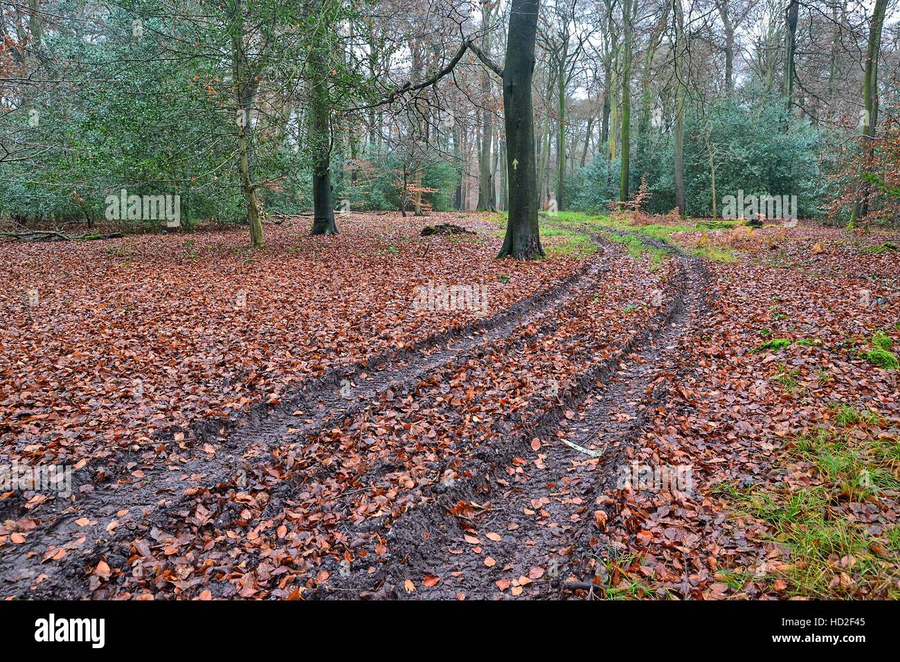 Litter vehicle hi-res stock photography and images - Alamy