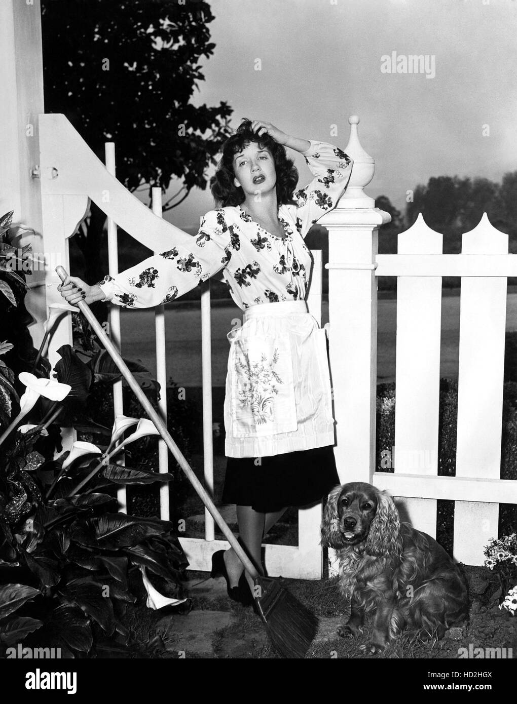 Peggy Ryan and her cocker spaniel, Rusty, 1946 Stock Photo - Alamy