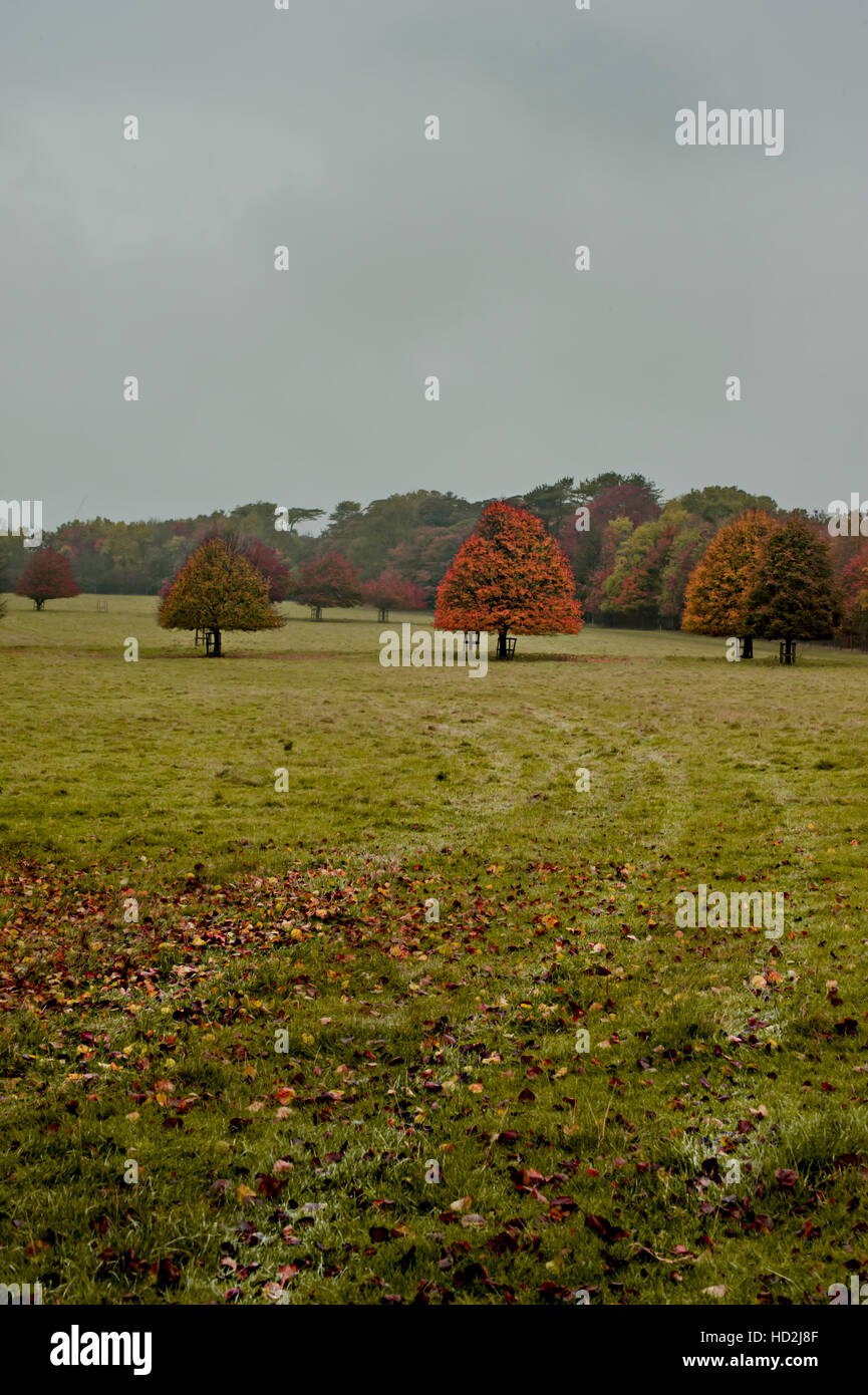 Beautiful autumn in the park Stock Photo - Alamy