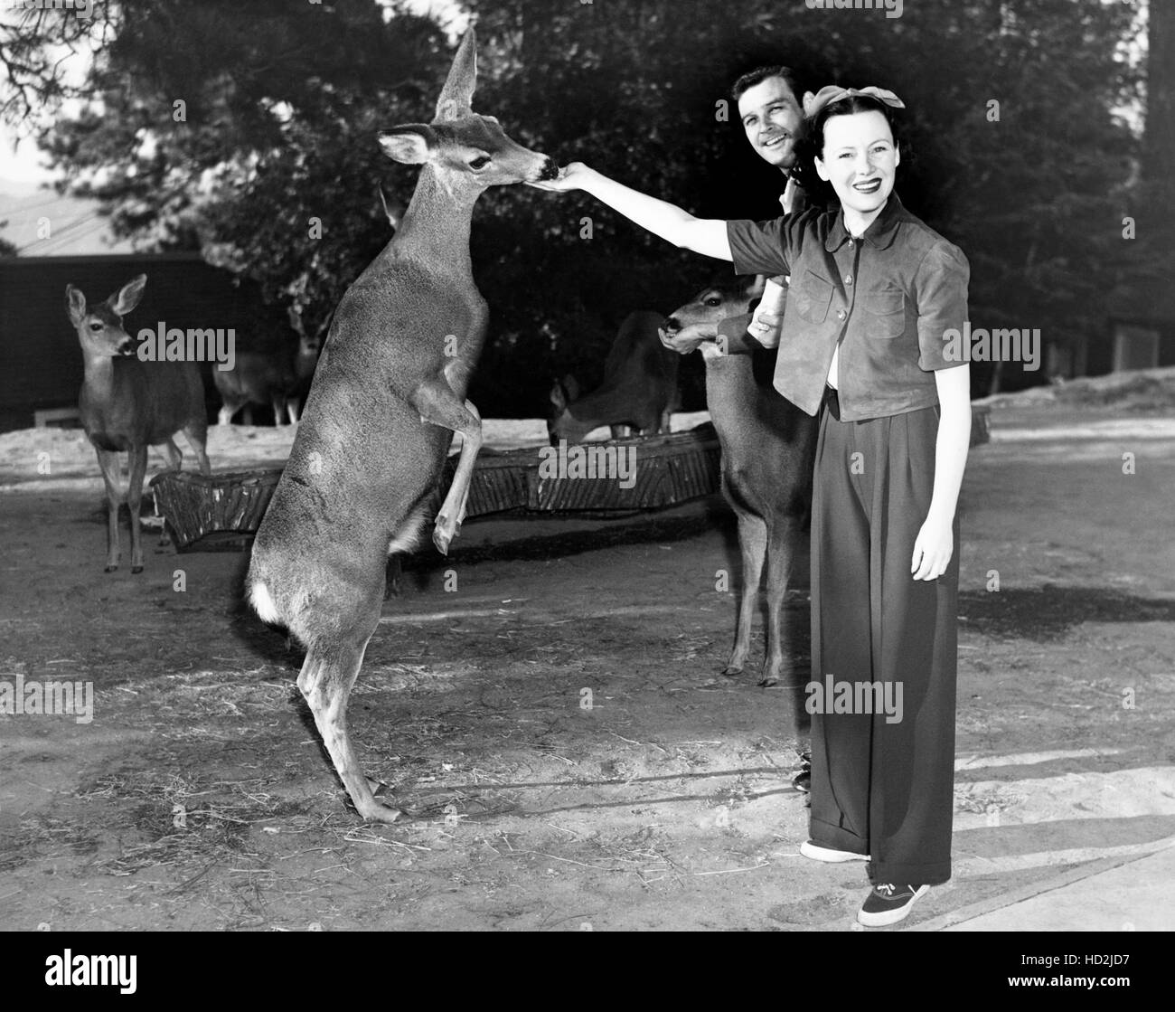 Ralph Byrd, background, and his wife, actress Virginia Carroll, feed ...