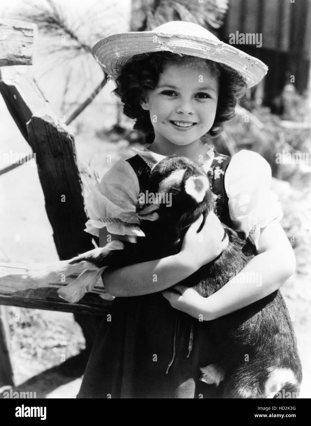 Shirley Temple posing with goat, ca. 1935 Stock Photo - Alamy