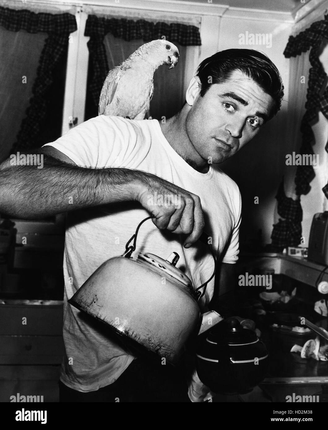 Steve Cochran and his parrot, 'Clarence,' 1953 Stock Photo - Alamy
