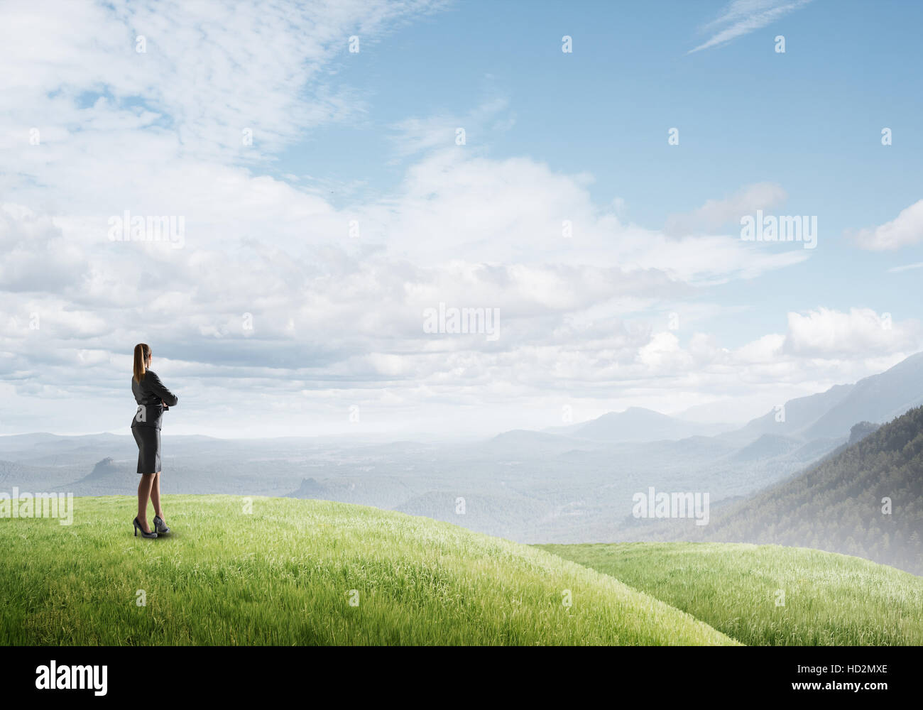 Achieving top of success Stock Photo - Alamy