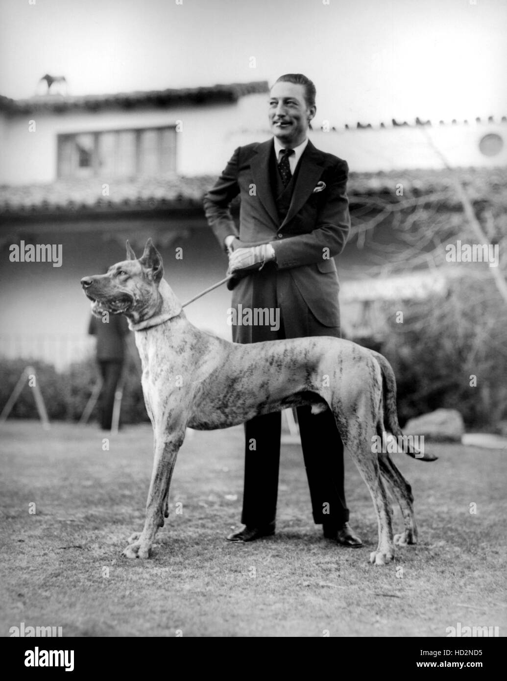 Warren William posing with a Doberman Pinscher at a Hollywood dog party ...