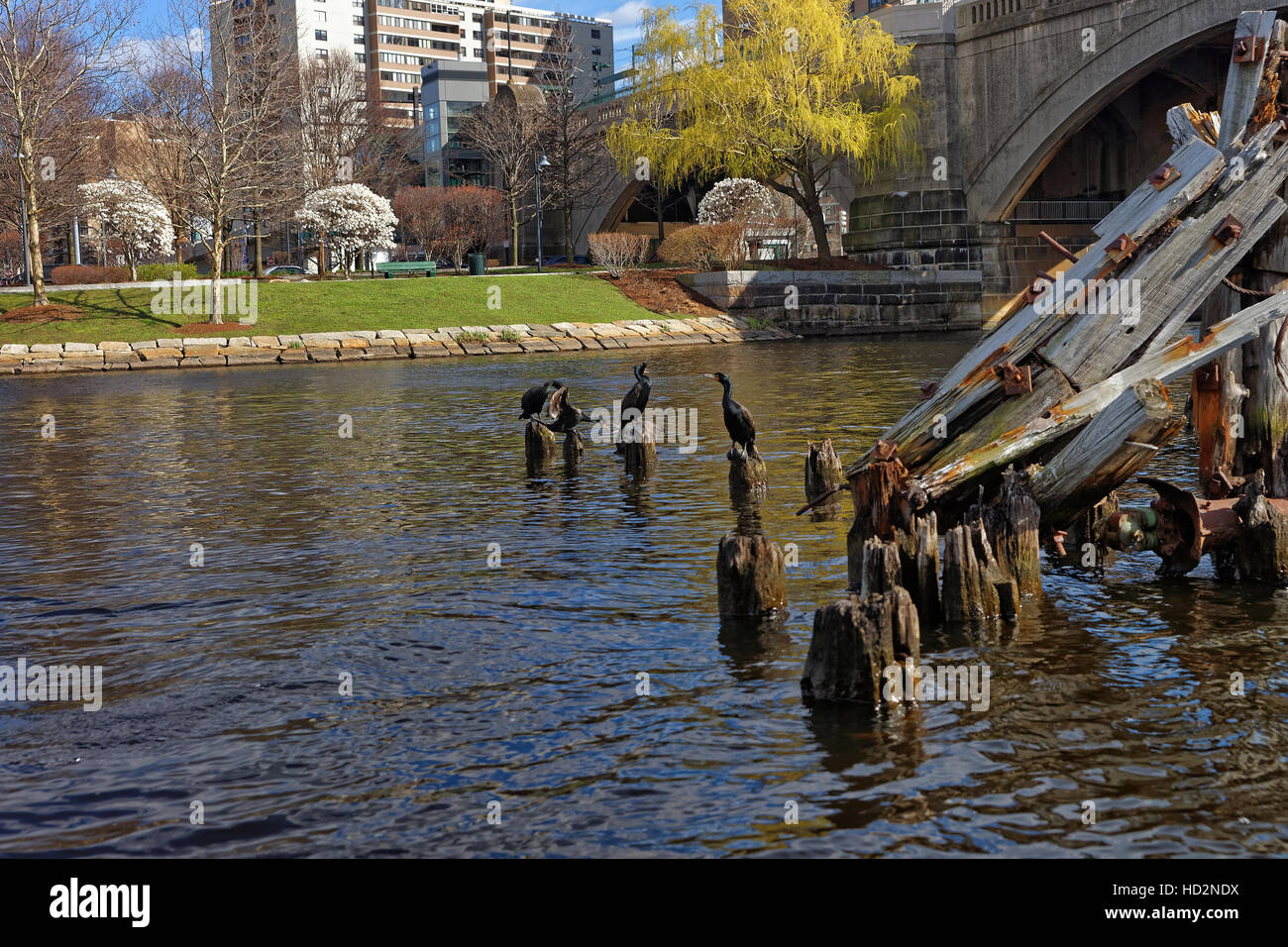 Lechmere viaduct hi-res stock photography and images - Alamy