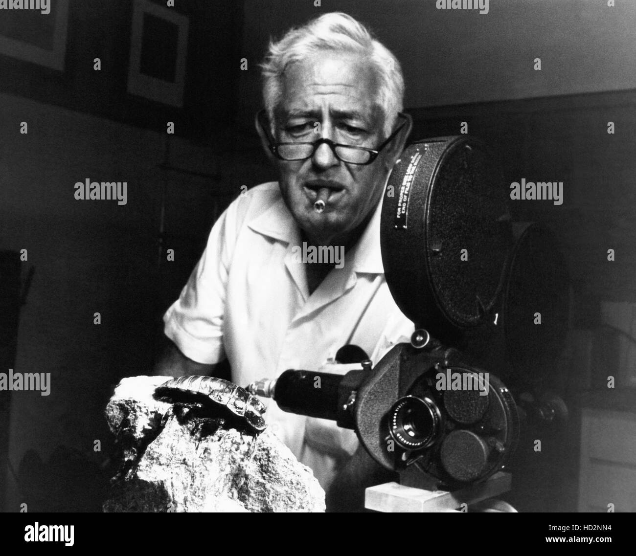 Producer/director William Castle, ca. 1970s Stock Photo - Alamy