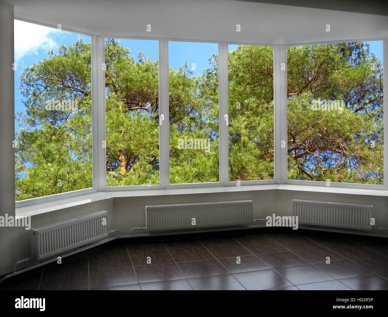 plastic windows overlooking the green branches of pine Stock Photo - Alamy