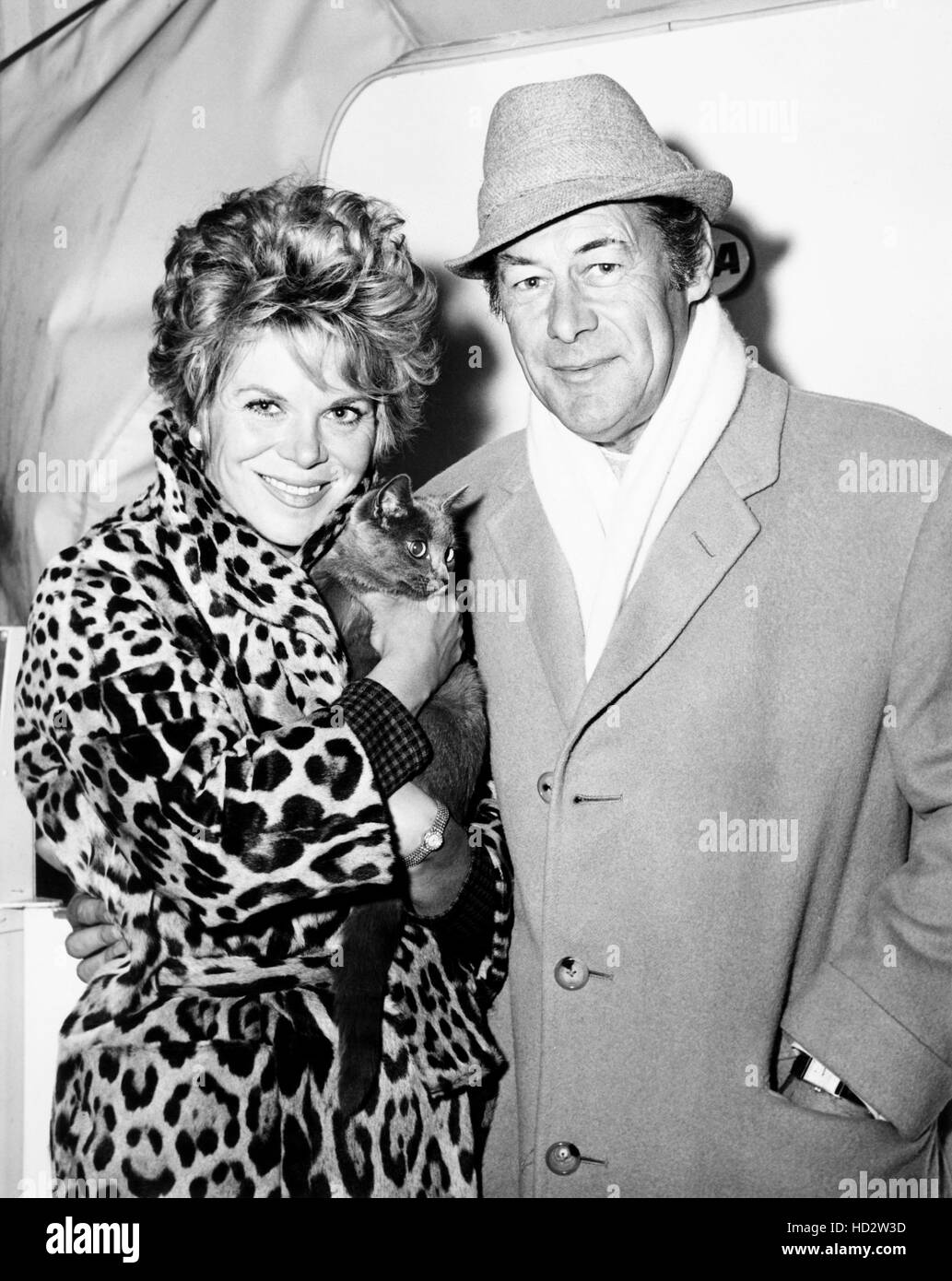 From left, Rachel Roberts, Rex Harrison, and their pet cat Alice ...