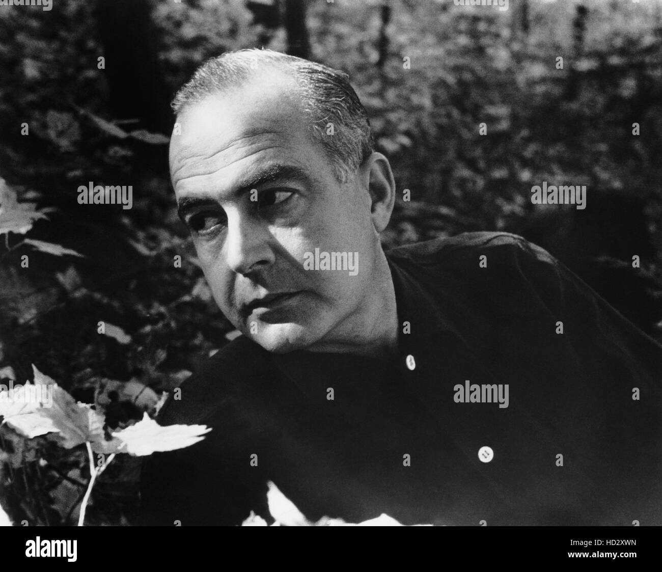Samuel Barber, 1960 Stock Photo - Alamy