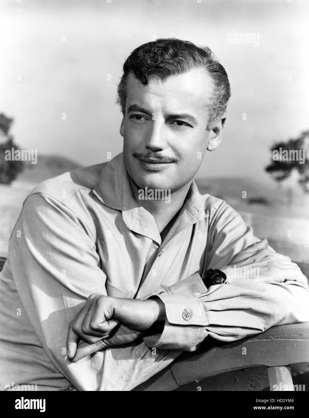 Shepperd Strudwick, 1940s Stock Photo - Alamy