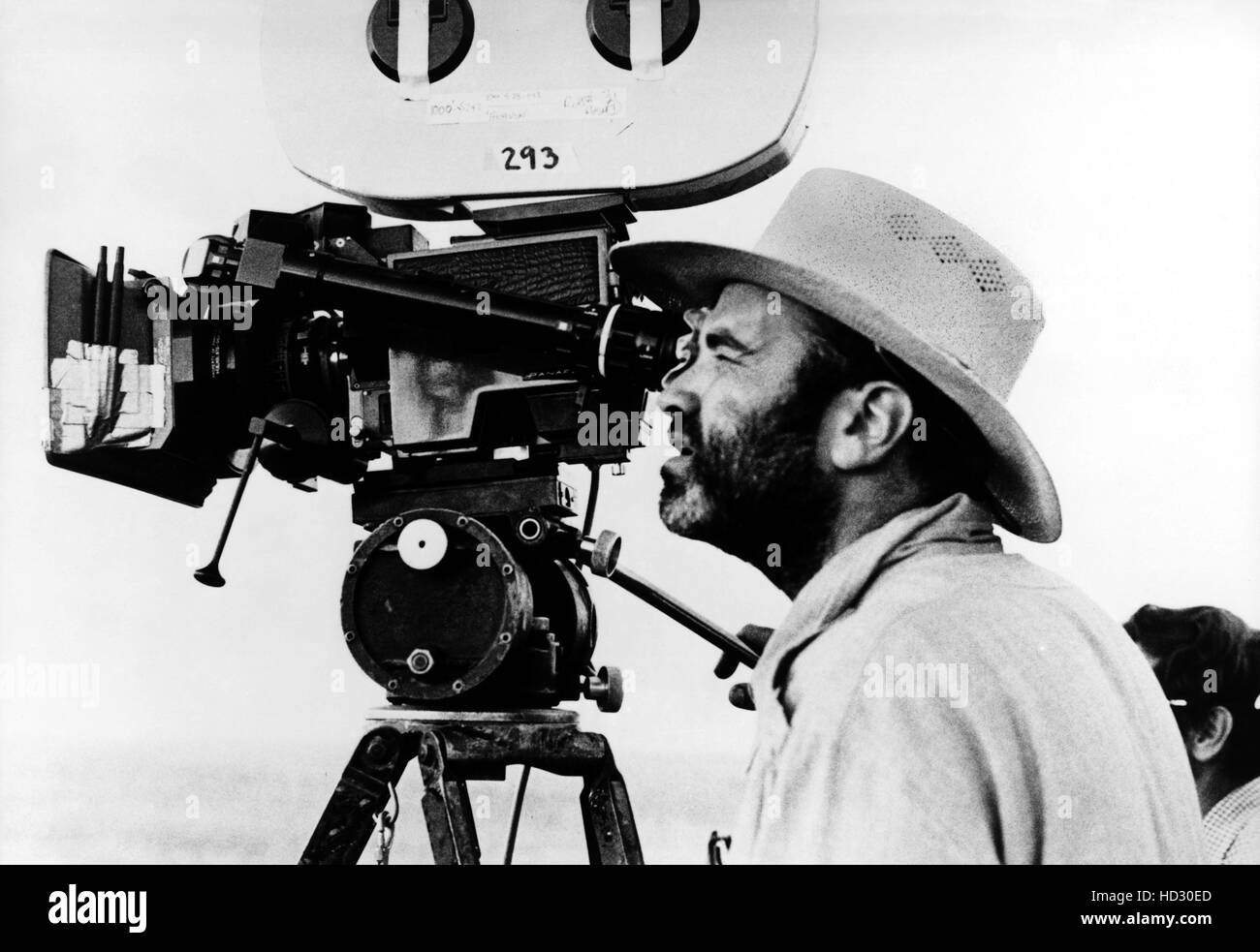 DAYS OF HEAVEN, Terrence Malick, Director, writer, producer, 1978 Stock ...