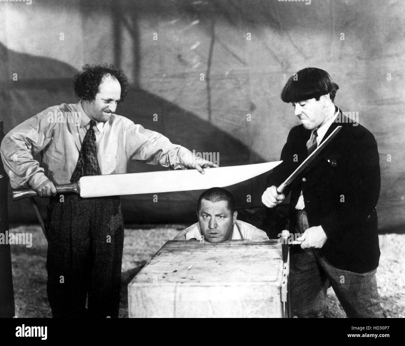 Curly Love The Stooges The Three Stooges: Larry Fne, Moe Howard, And ...