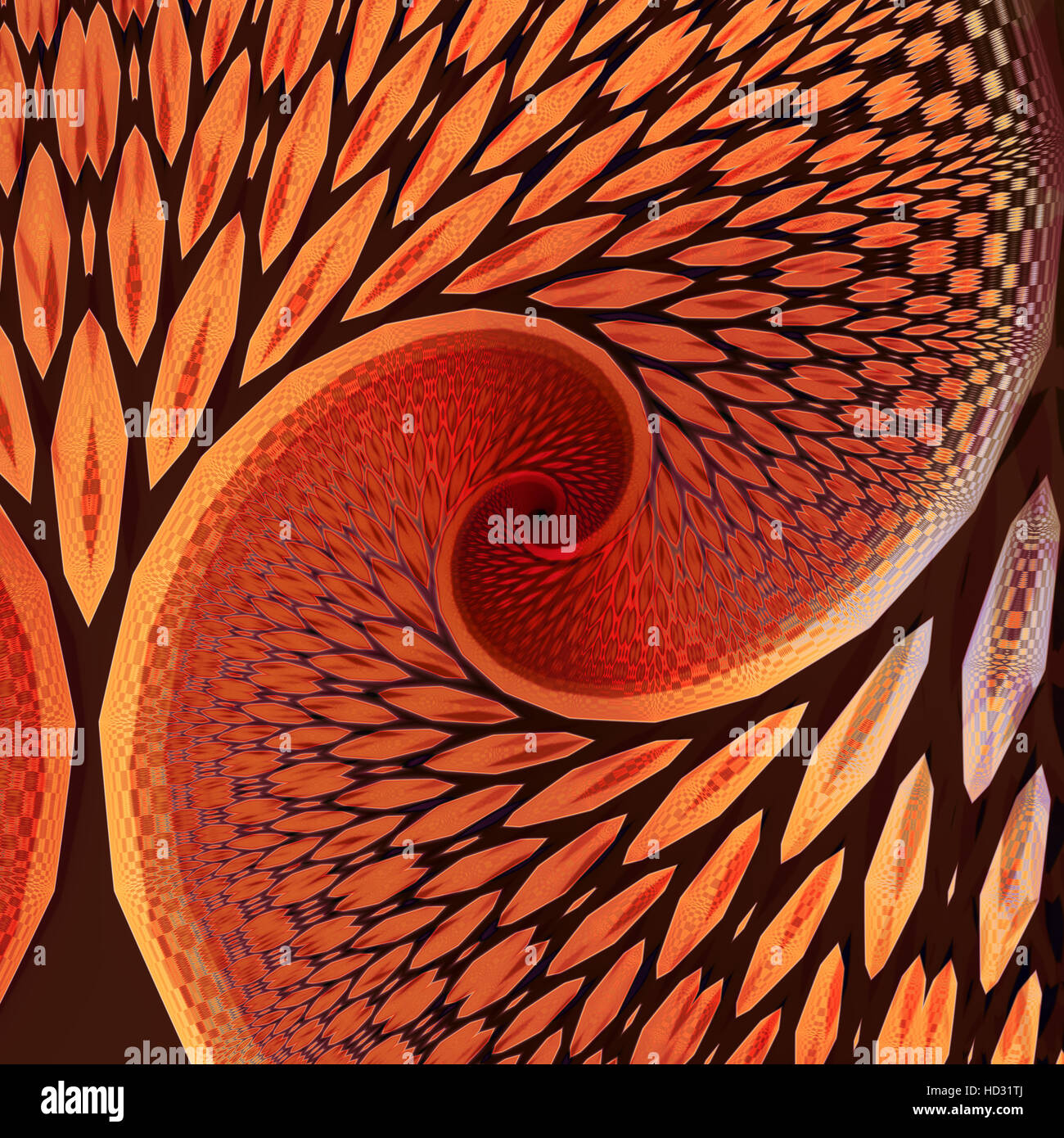 Fractal leaf pattern hi-res stock photography and images - Alamy