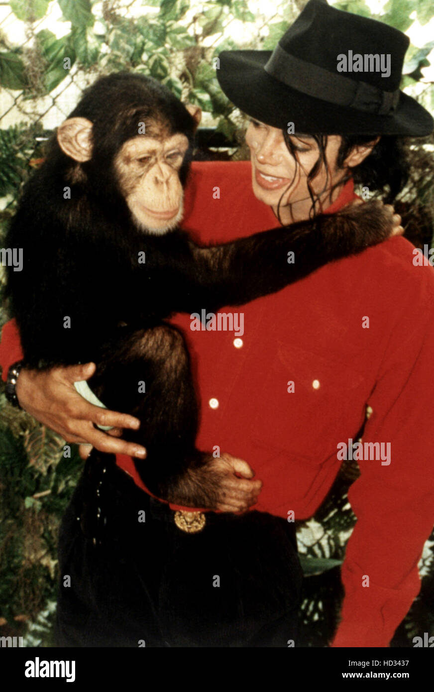 COREY THE CHIMP with pal MICHAEL JACKSON, Universal City Studios ...