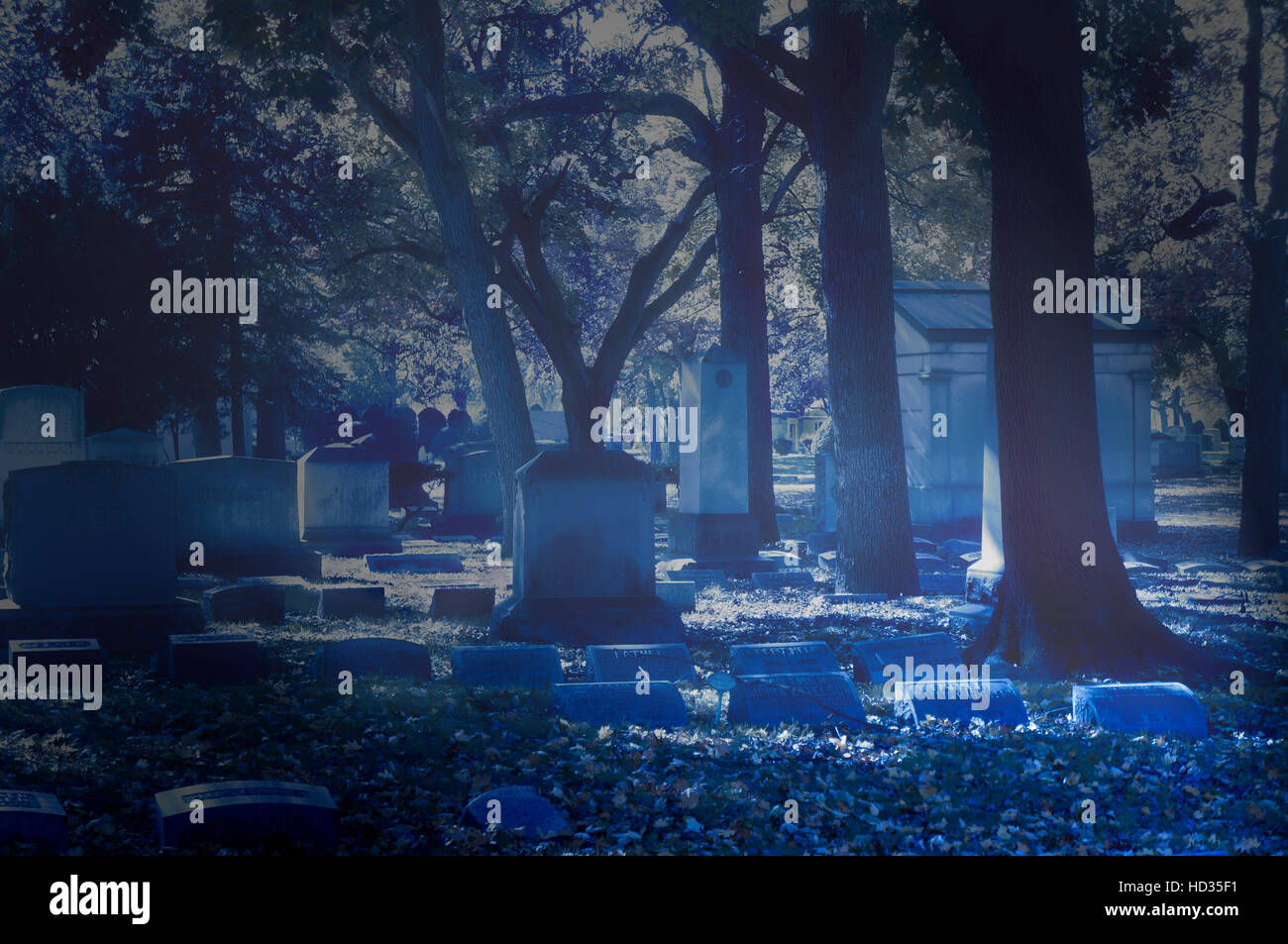 Chicago rosehill cemetery hi-res stock photography and images - Alamy
