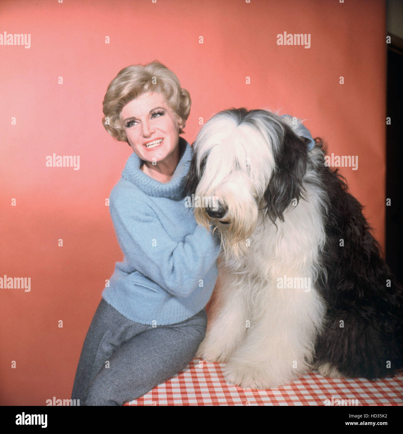 PLEASE DON'T EAT THE DAISIES, Patricia Crowley, 1965-67 Stock Photo - Alamy