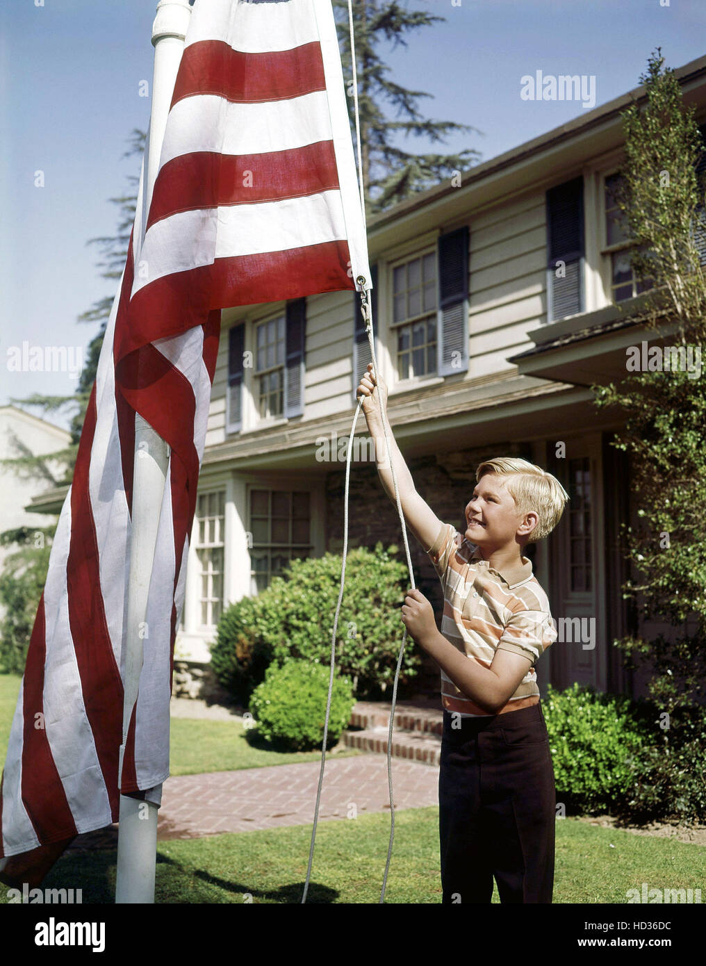 HAZEL, Bobby Buntrock, 1961-66 Stock Photo - Alamy