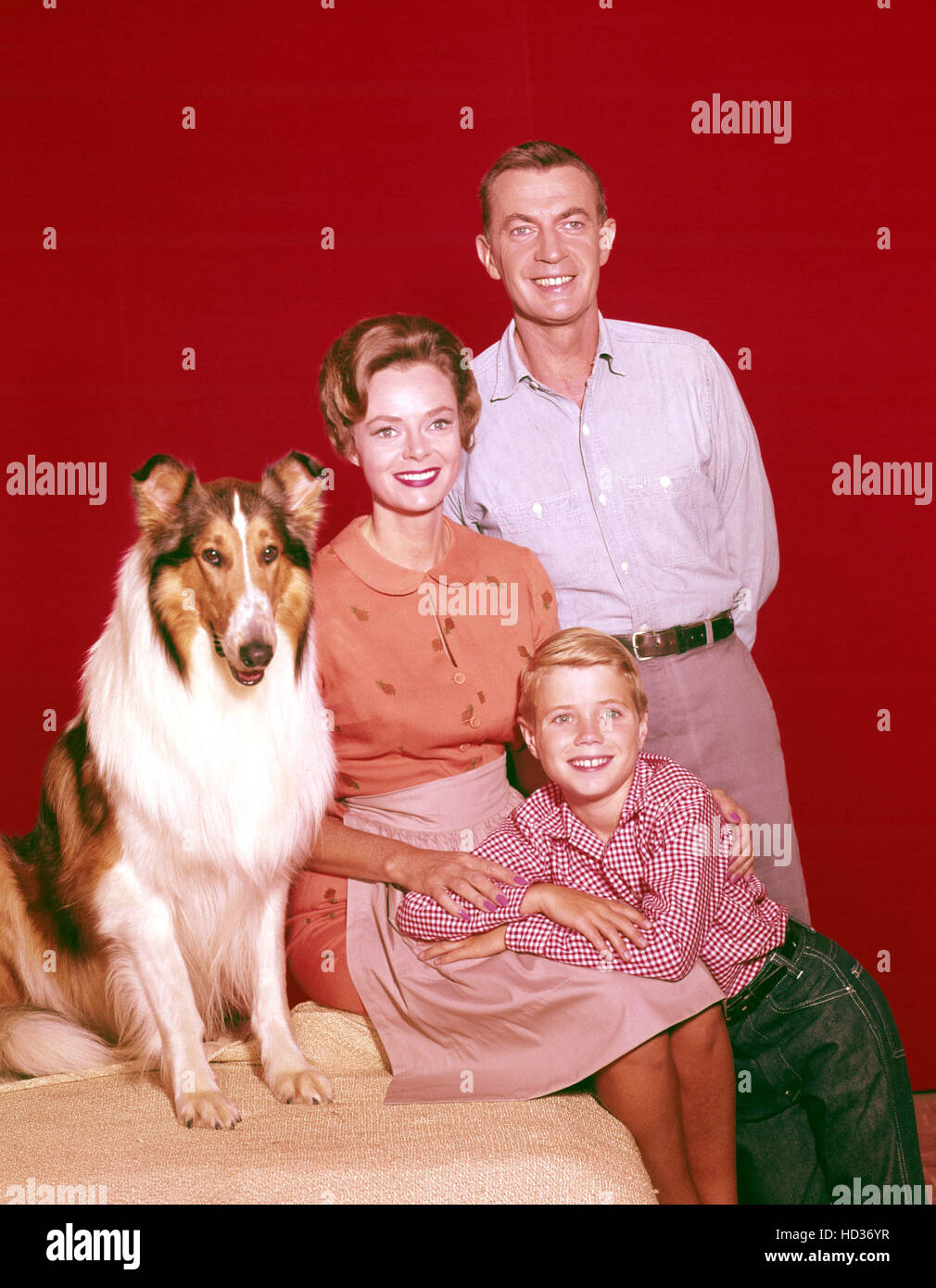 LASSIE, Lassie, June Lockhart, Jon Provost, Hugh Reilly, 1954-1974 ...