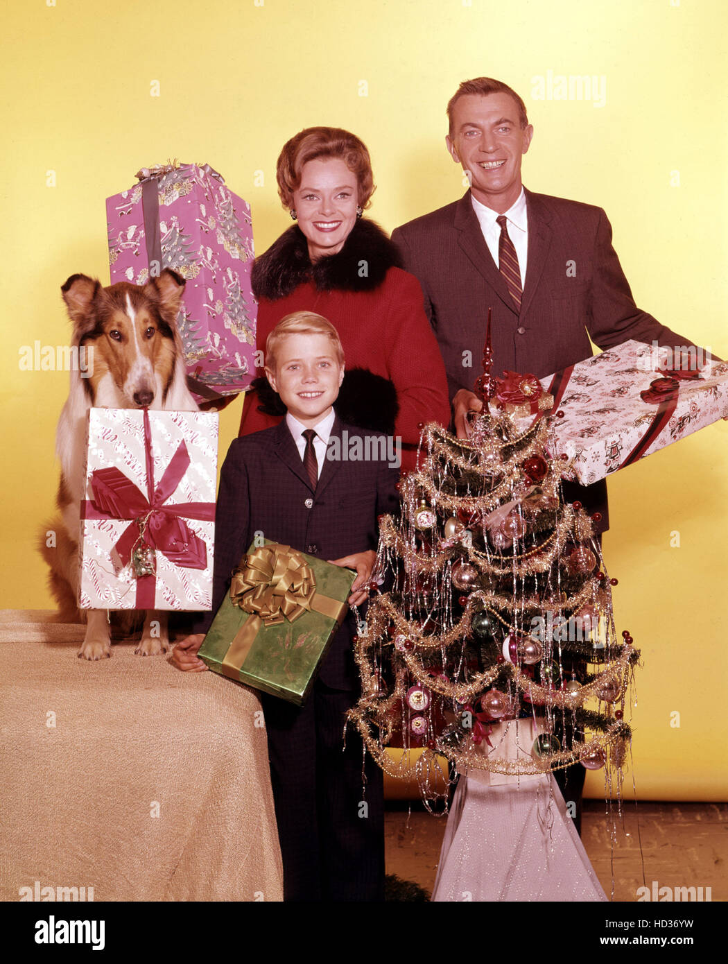 LASSIE, Lassie, June Lockhart, Jon Provost, Hugh Reilly, 1954-1974 ...