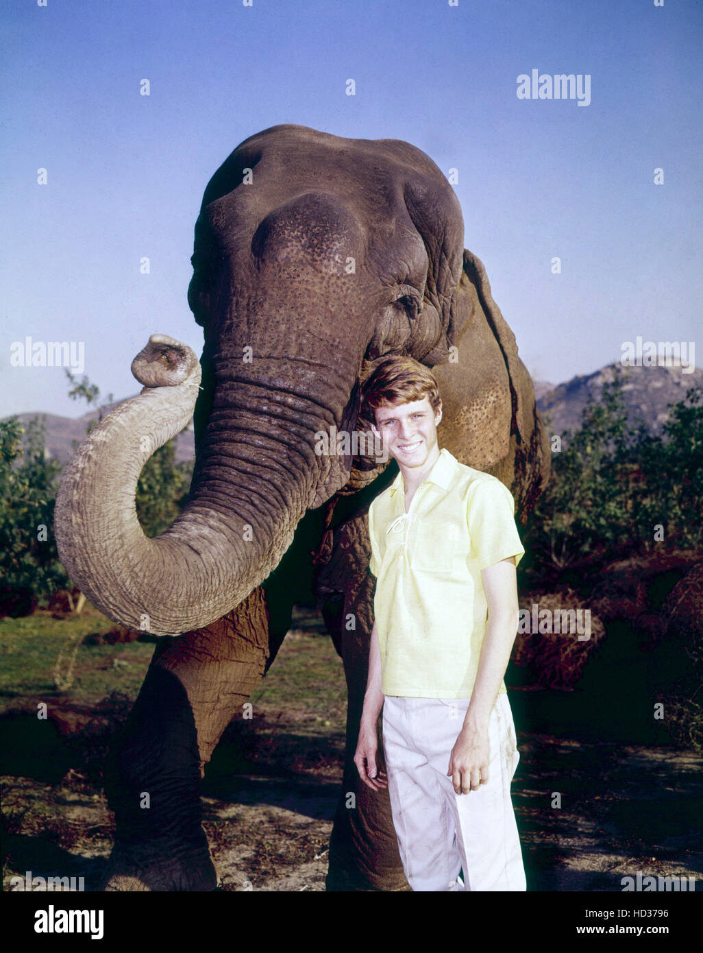MAYA, Jay North, 1967-68 Stock Photo - Alamy