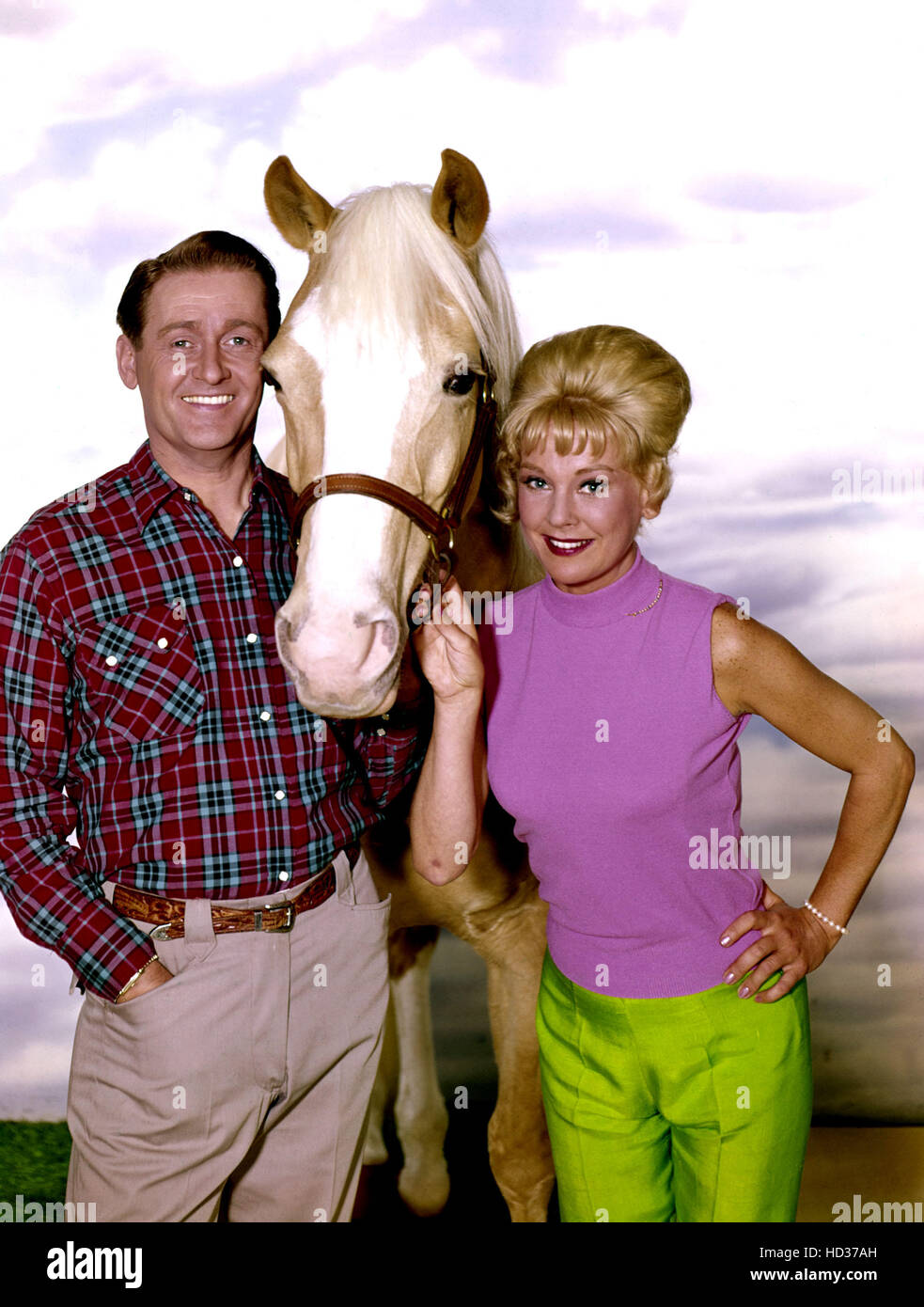 MR. ED, Alan Young, Mr. Ed, Connie Hines, 1961-1966 Stock Photo - Alamy