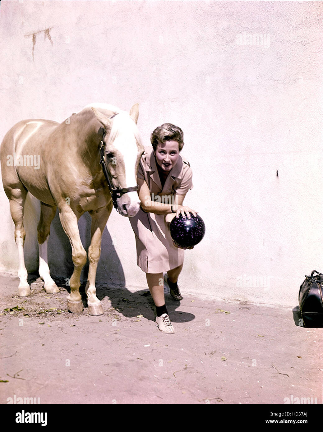 MR. ED, Mr. Ed, Edna Skinner, 1961-1966 Stock Photo - Alamy