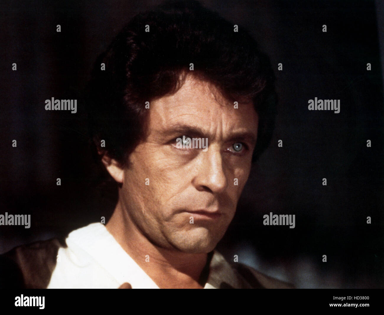 INCREDIBLE HULK, Bill Bixby, 1978-82, (c)Universal TV/courtesy Everett ...