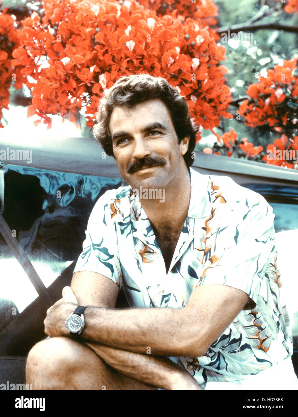 MAGNUM P.I., Tom Selleck, 1980-88, © Universal TV / Courtesy: Everett ...