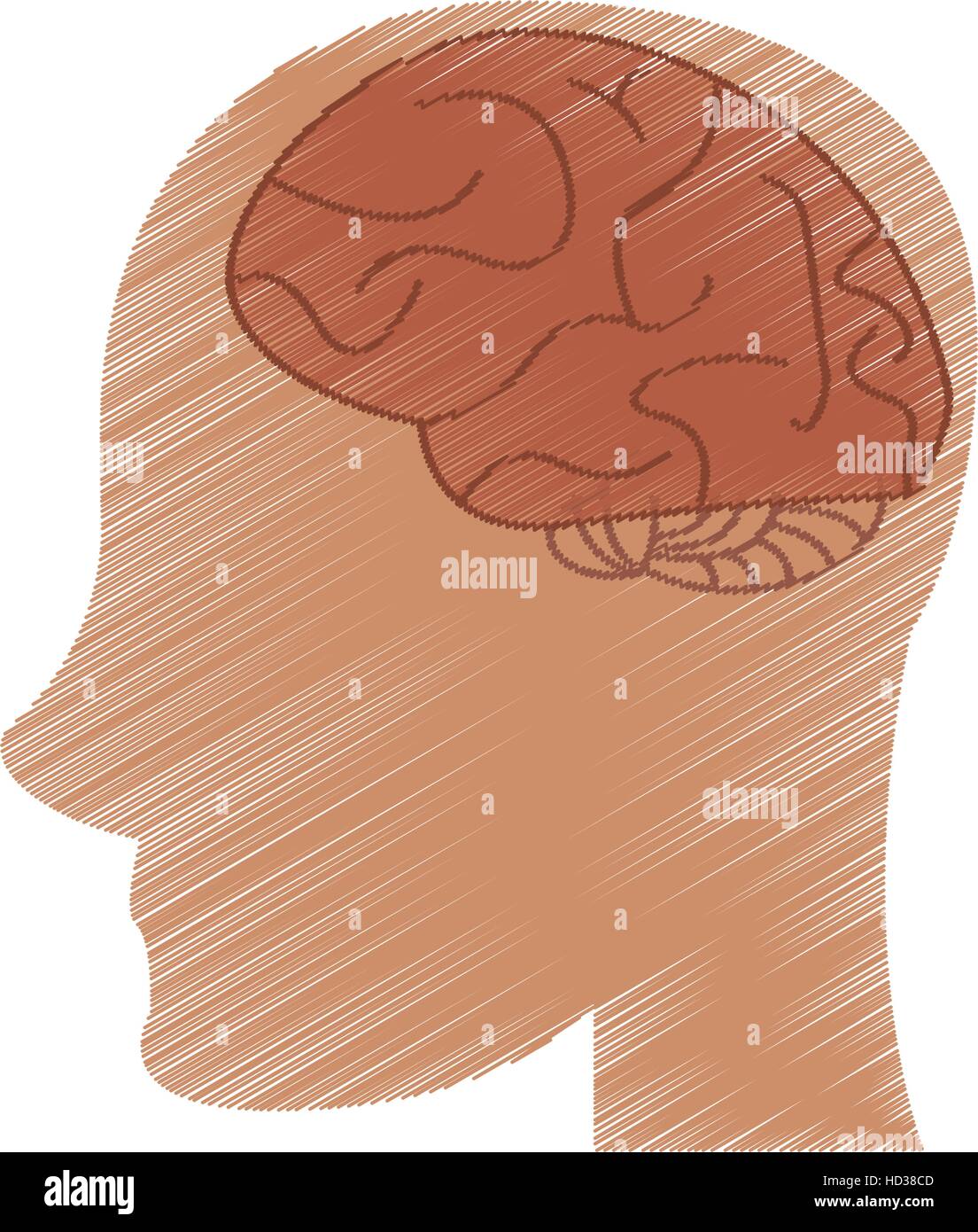 drawing profile head brain idea imagination Stock Vector Image & Art ...