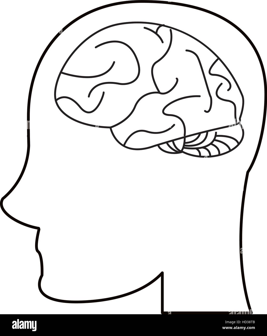 profile head brain idea imagination outline Stock Vector Image & Art ...