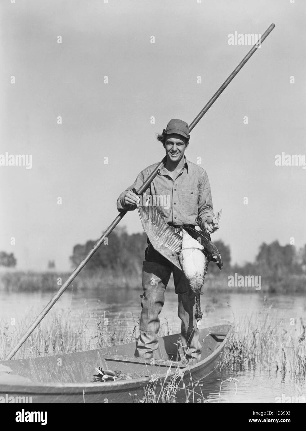 Robert Stack with the birds he has shot on hunting trip, 1939 Stock ...