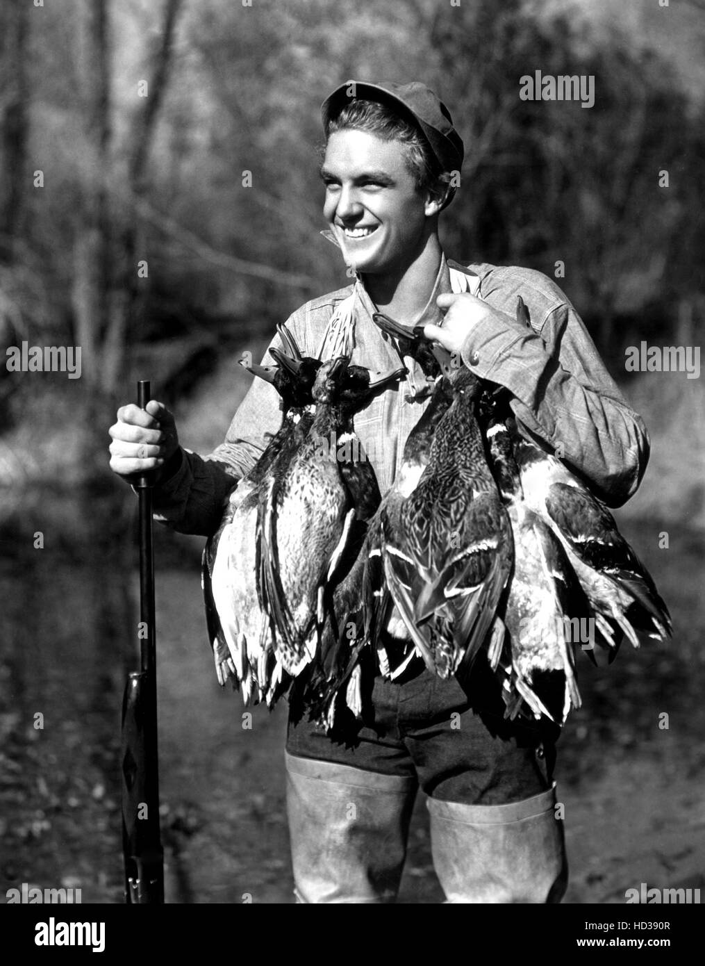 ROBERT STACK, candid of him hunting circa 1939 Stock Photo - Alamy