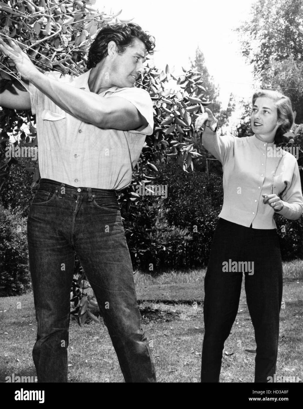 Spouses Gordon Scott, left, and Vera Miles, doing the gardening, 1956 ...