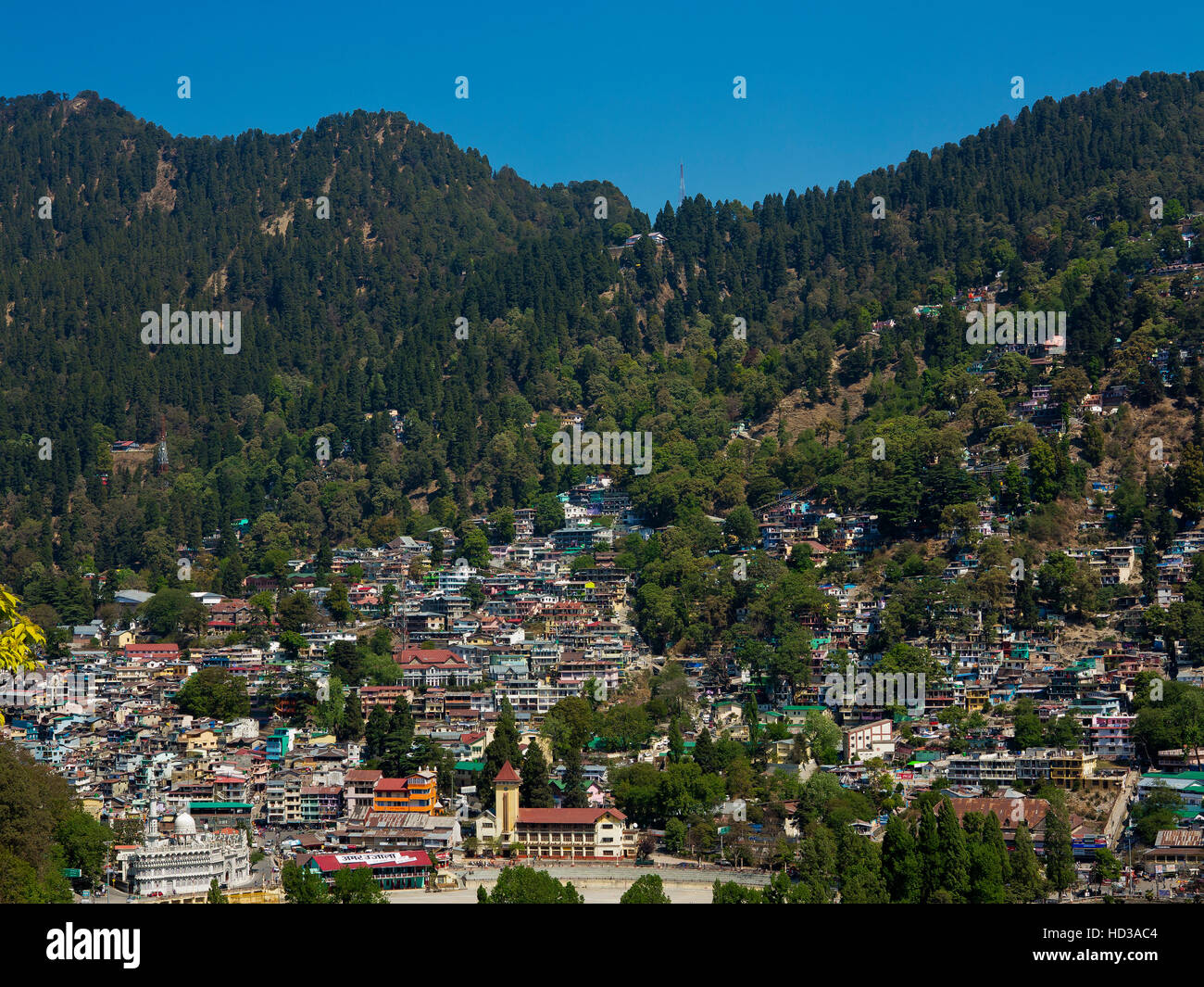 Naini Tal Hill Station with a pine tree forest in background, Kumaon ...