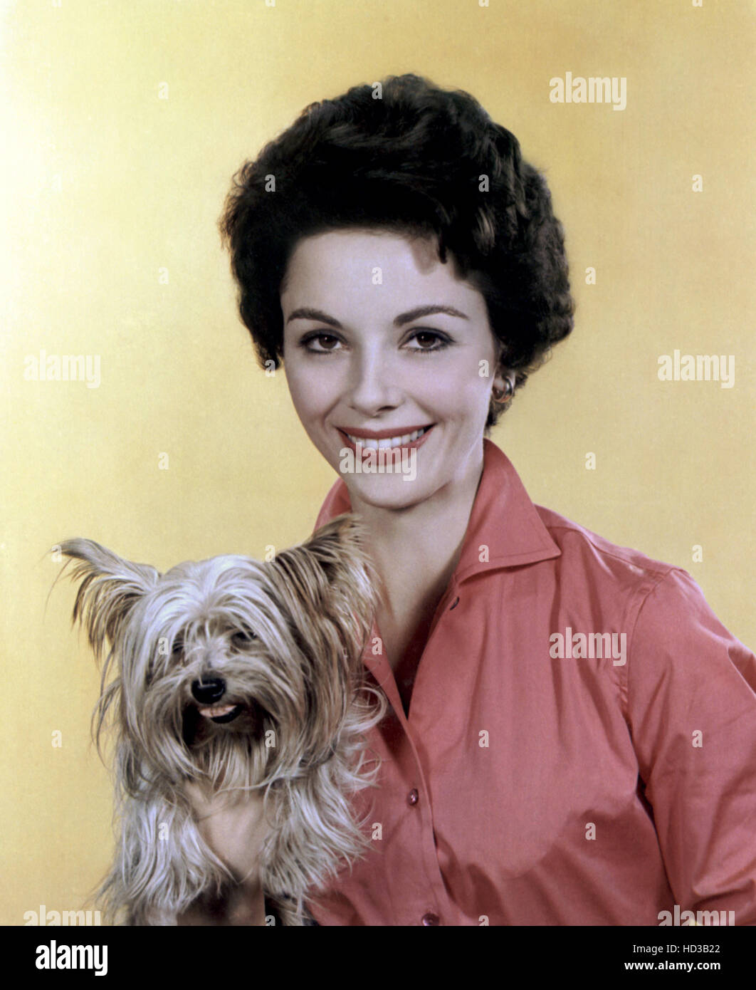 Dana Wynter, ca 1950s Stock Photo - Alamy