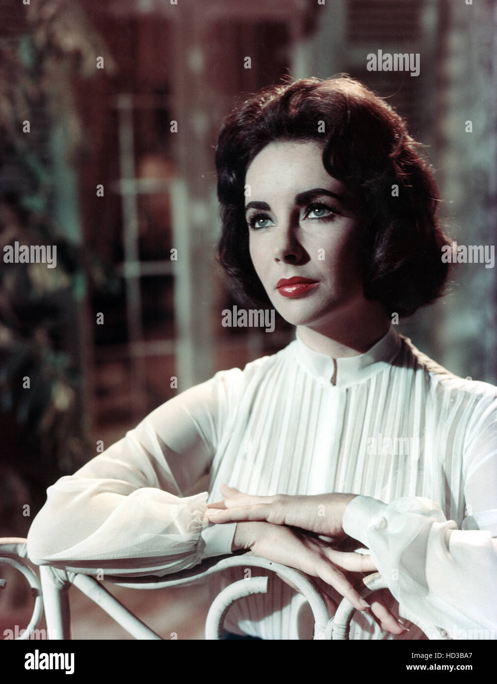 Elizabeth Taylor, 1950s Stock Photo - Alamy