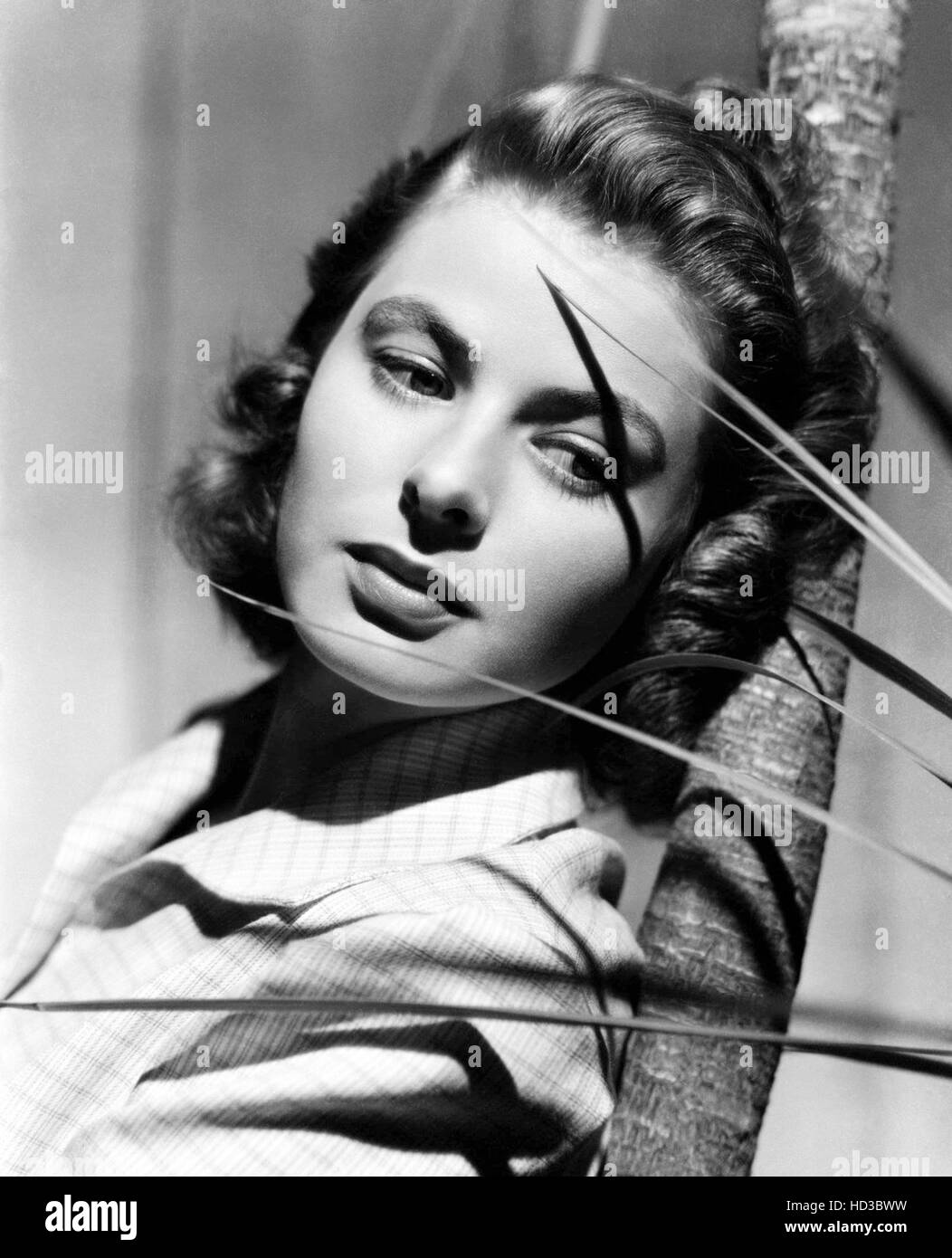 Ingrid Bergman, MGM portrait by Laszlo Willinger, circa 1941 Stock ...