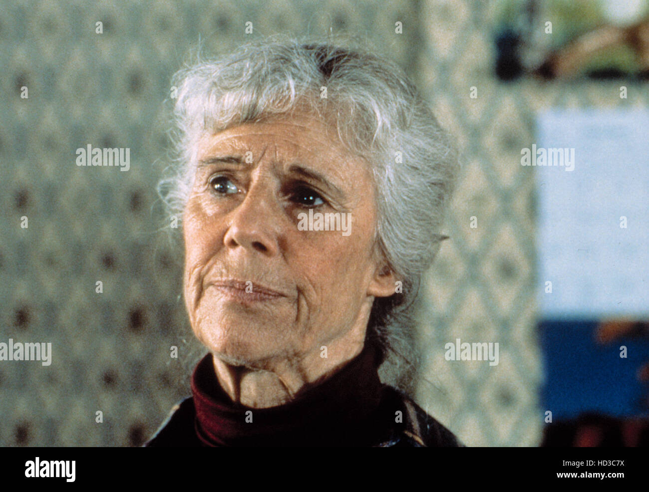 Frances Sternhagen From The Tv Movie Reunion 1994 Stock Photo Alamy