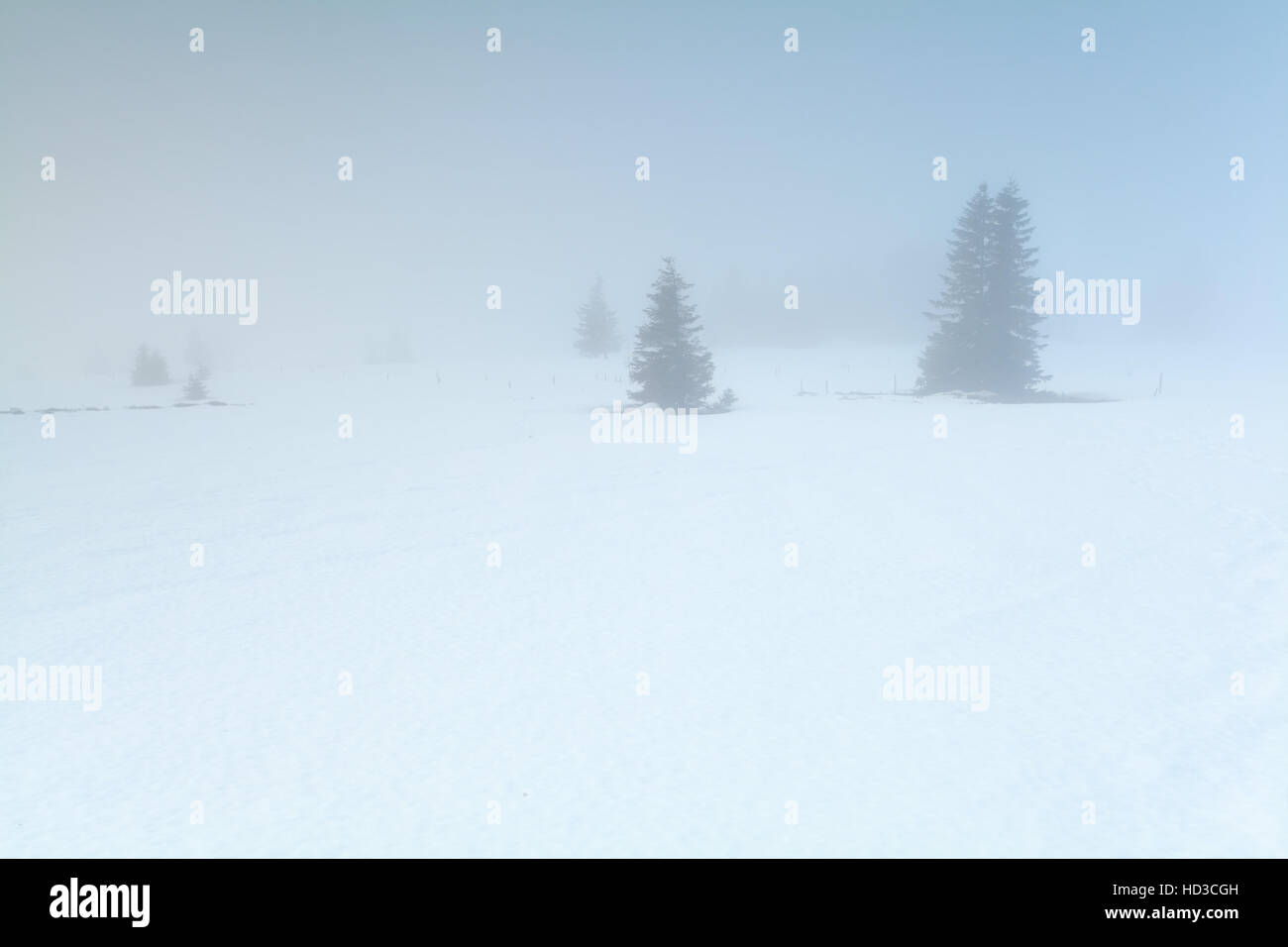 Dense mist snow hi-res stock photography and images - Alamy