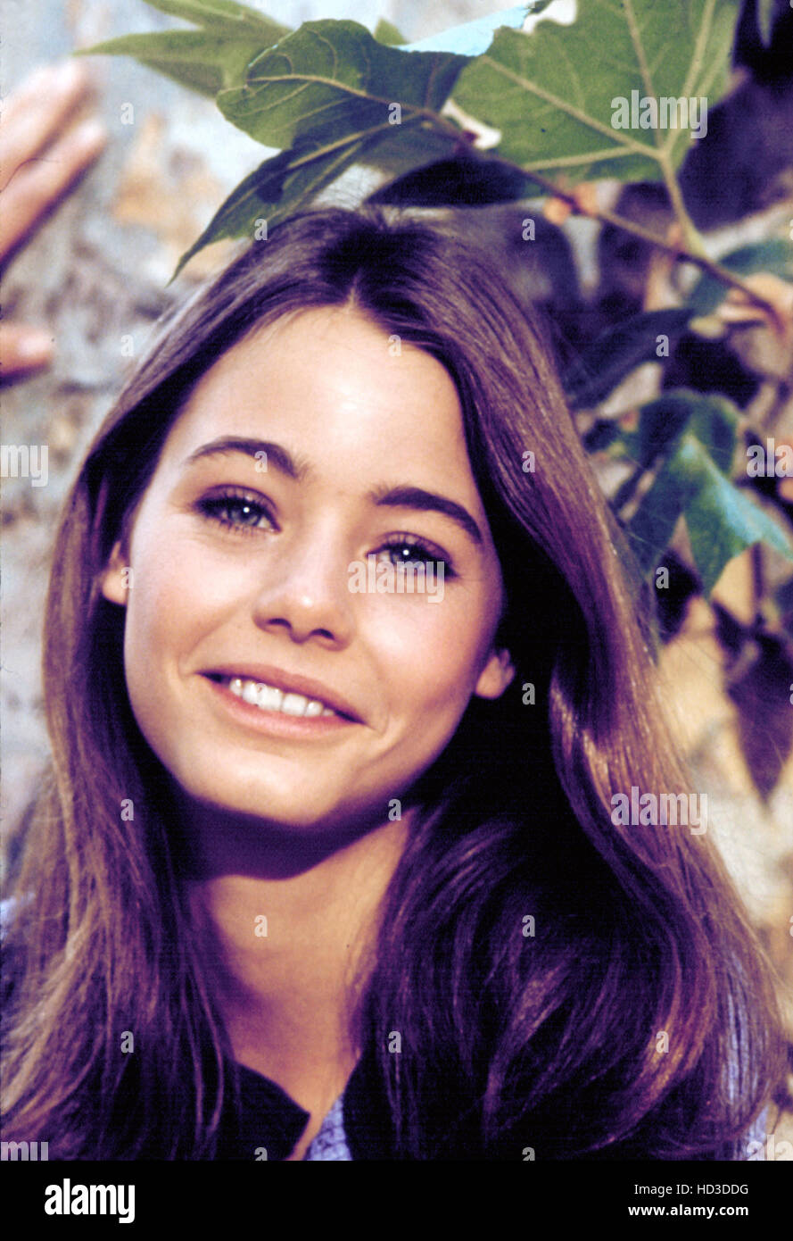SUSAN DEY, early 1970s, The Partridge Family era Stock Photo - Alamy