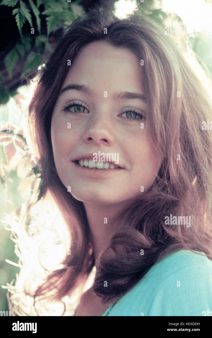 SUSAN DEY, early 1970s, The Partridge Family era Stock Photo - Alamy