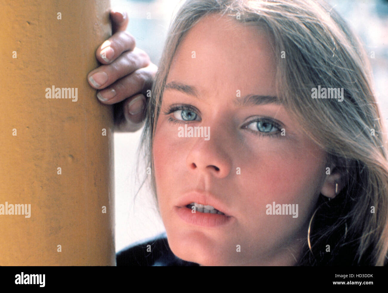SUSAN DEY, mid-1970s, TV portrait Stock Photo - Alamy