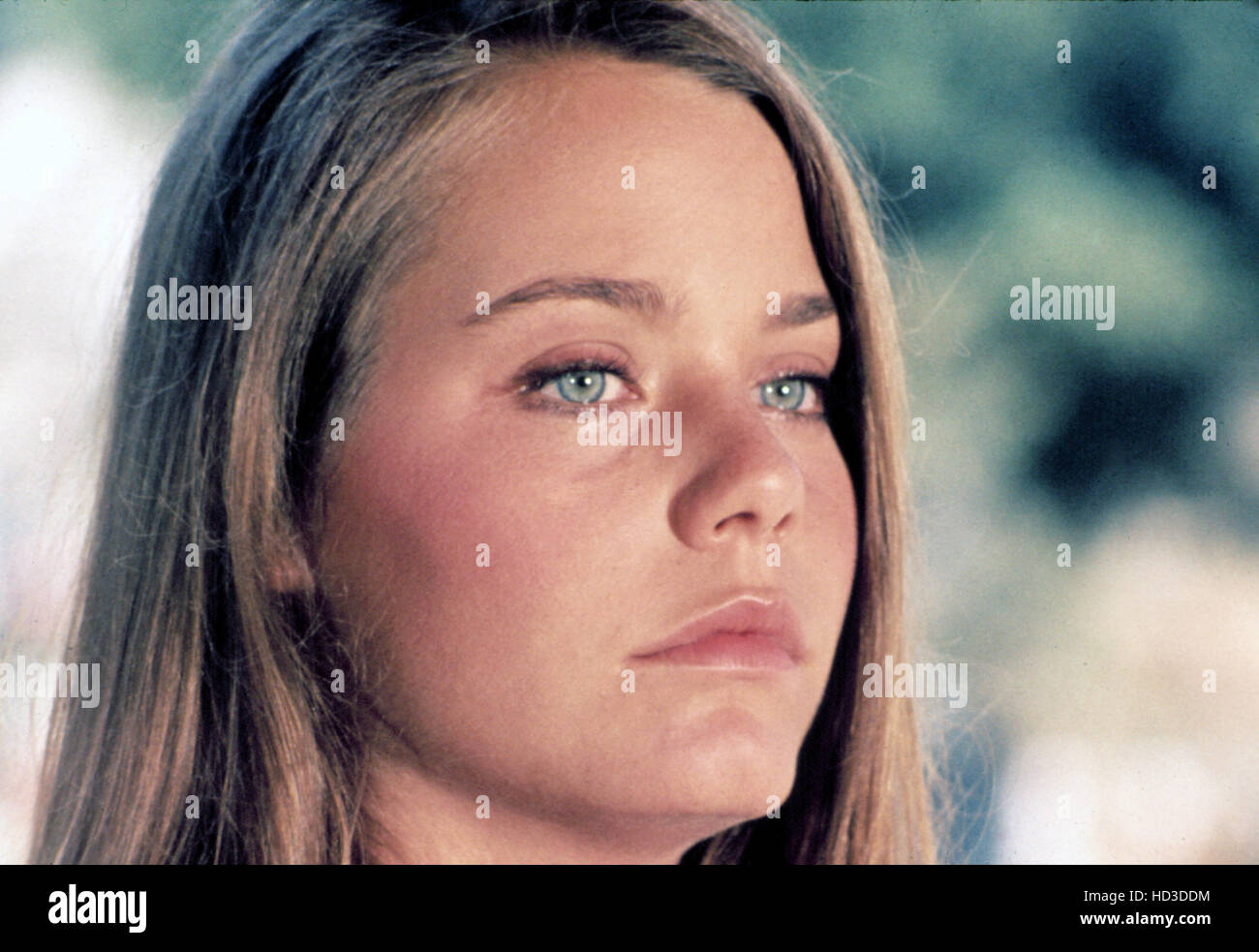 SUSAN DEY, mid-1970s, TV portrait Stock Photo - Alamy