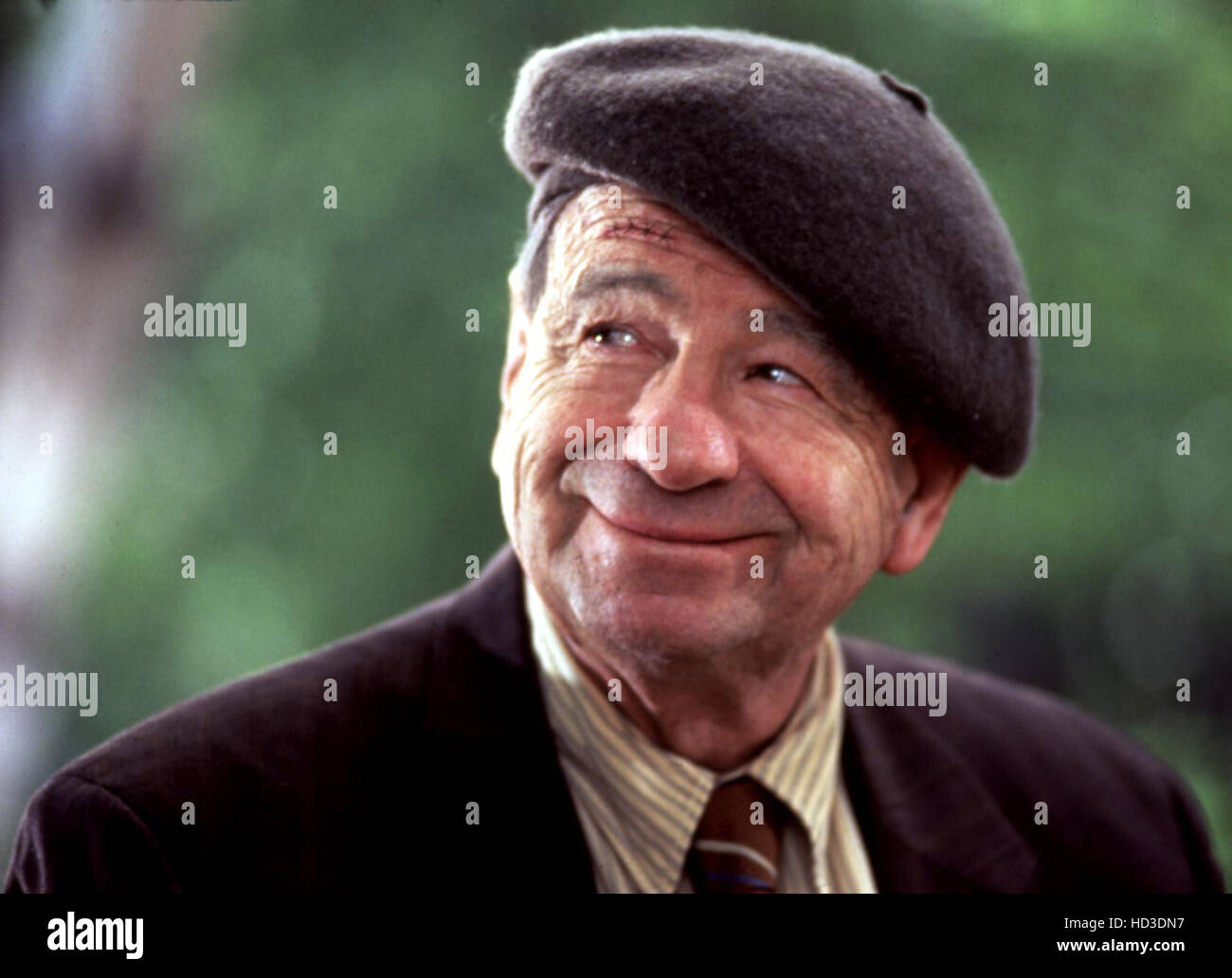 GRUMPIER OLD MEN, Walter Matthau, 1995 Stock Photo - Alamy