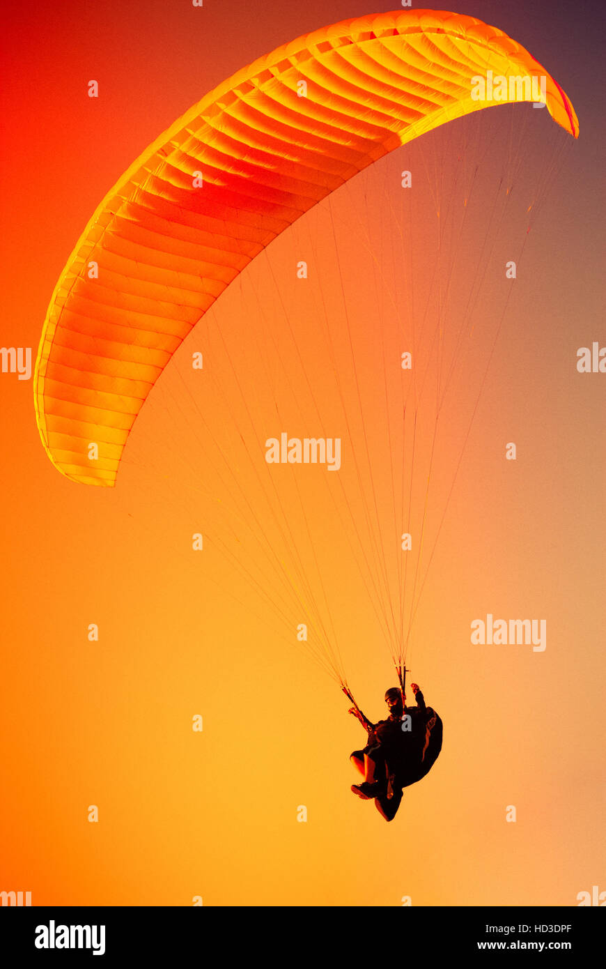 Paragliders flying to the orange sky at Bielsko Biala Zar mountain in ...