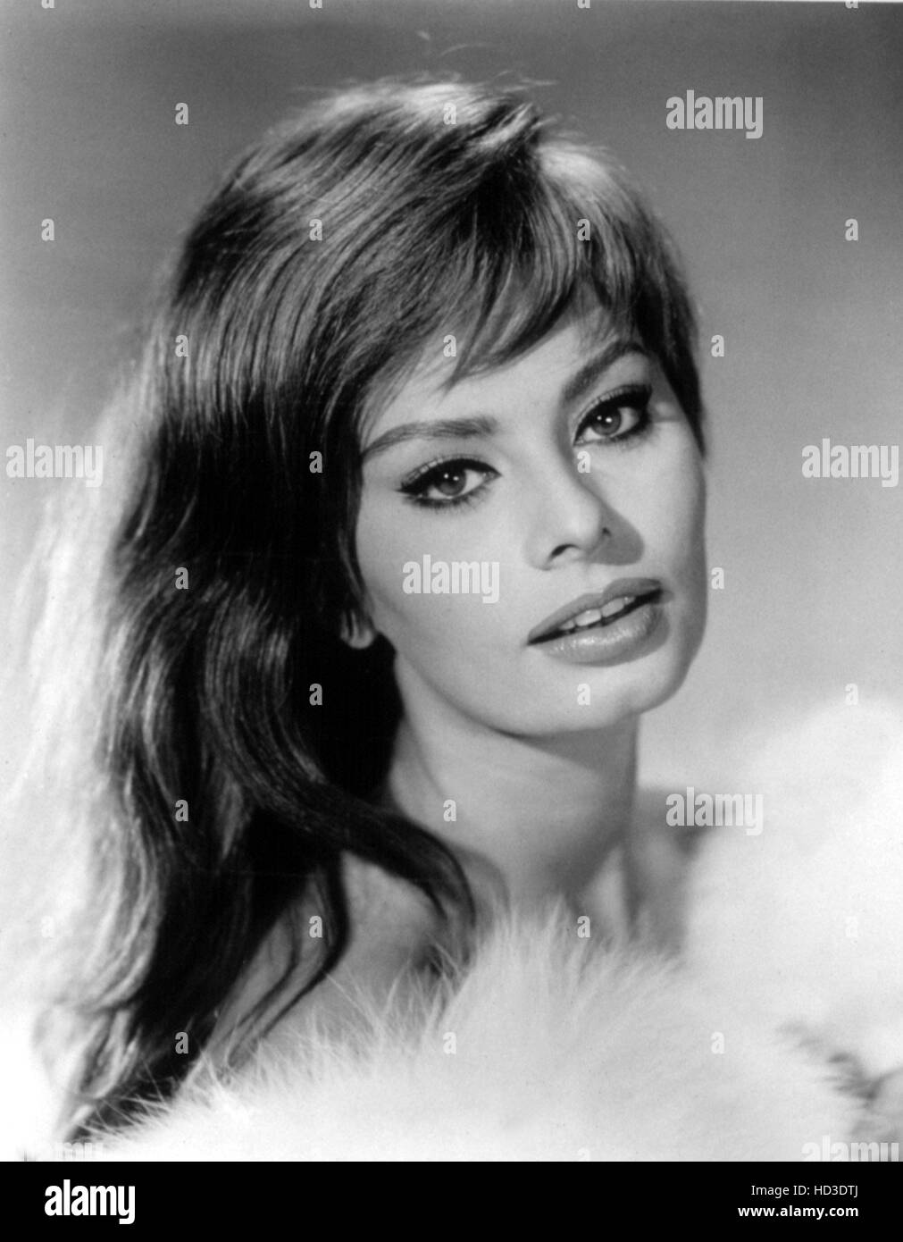 SOPHIA LOREN, late 1950s-early 1960s Stock Photo - Alamy