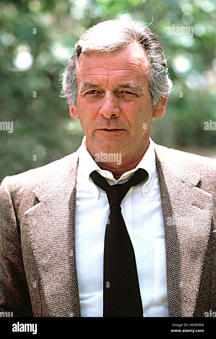 CITY IN FEAR, David Janssen, 1980 Stock Photo - Alamy