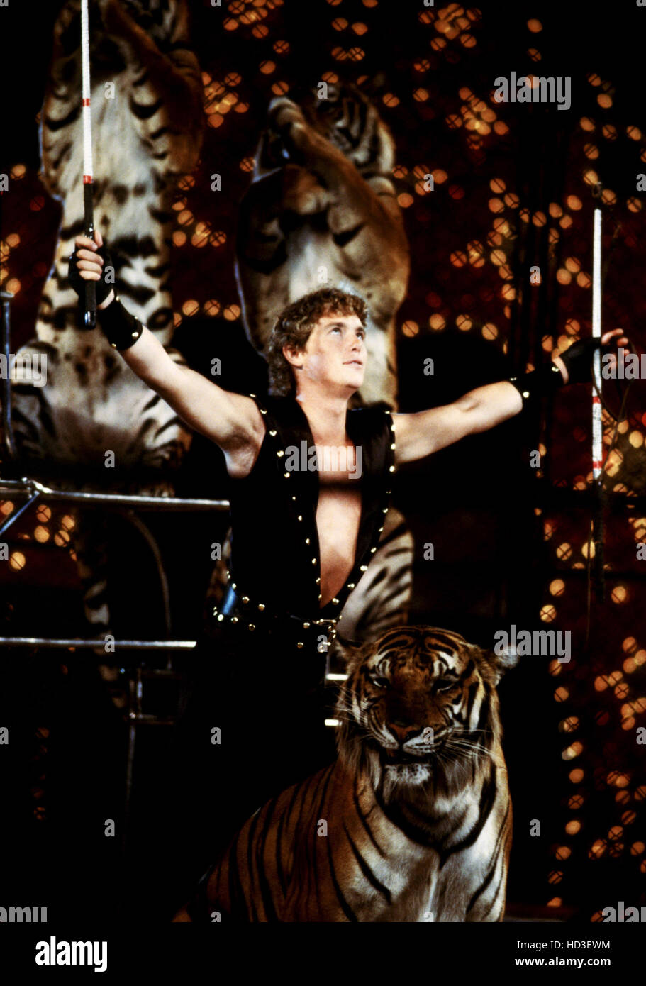CIRCUS OF THE STARS #10, Christopher Atkins, (1985), 1977-91. © CBS ...