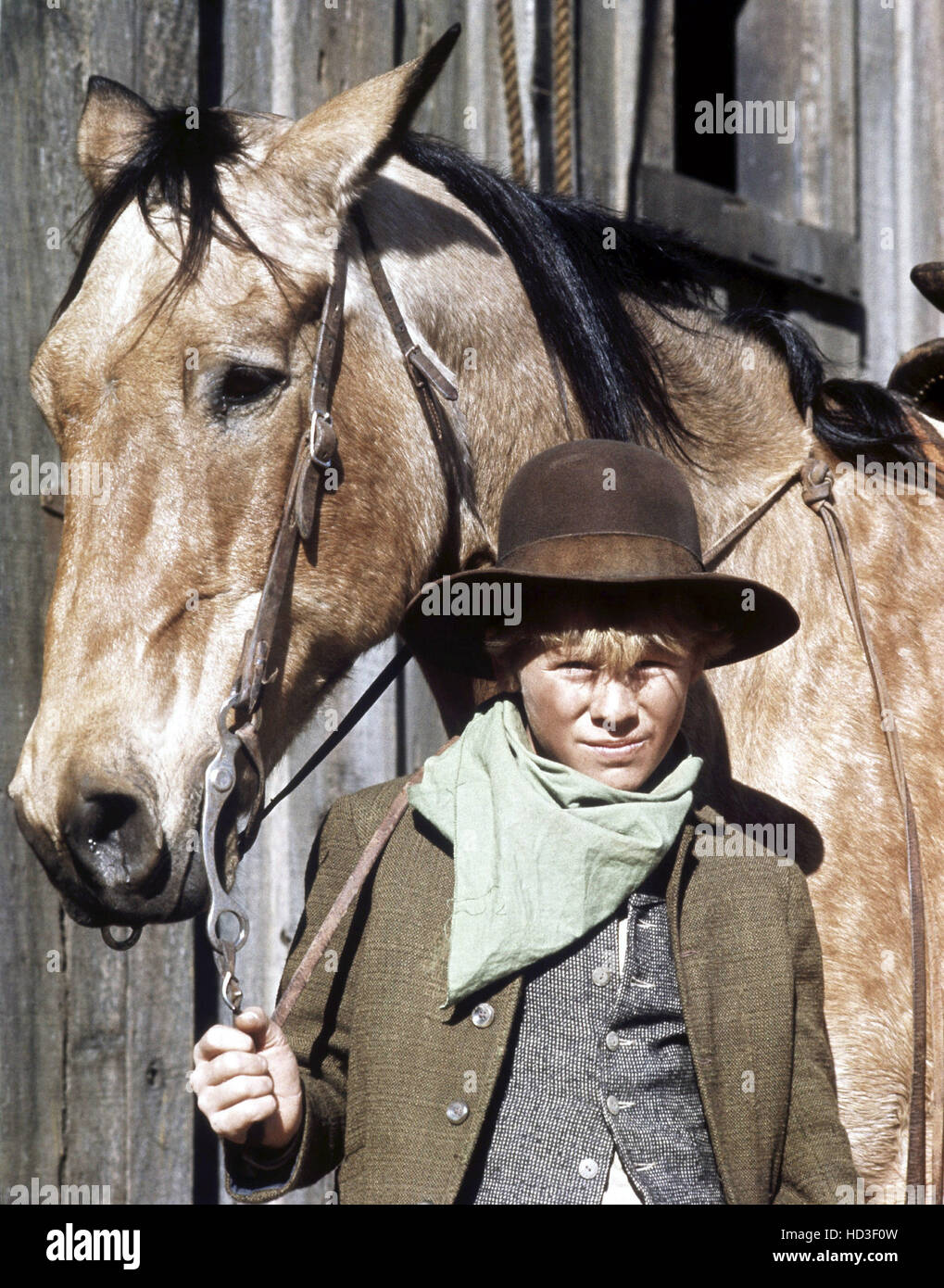 THE COWBOYS, Clay O'Brien, 1974 Stock Photo - Alamy
