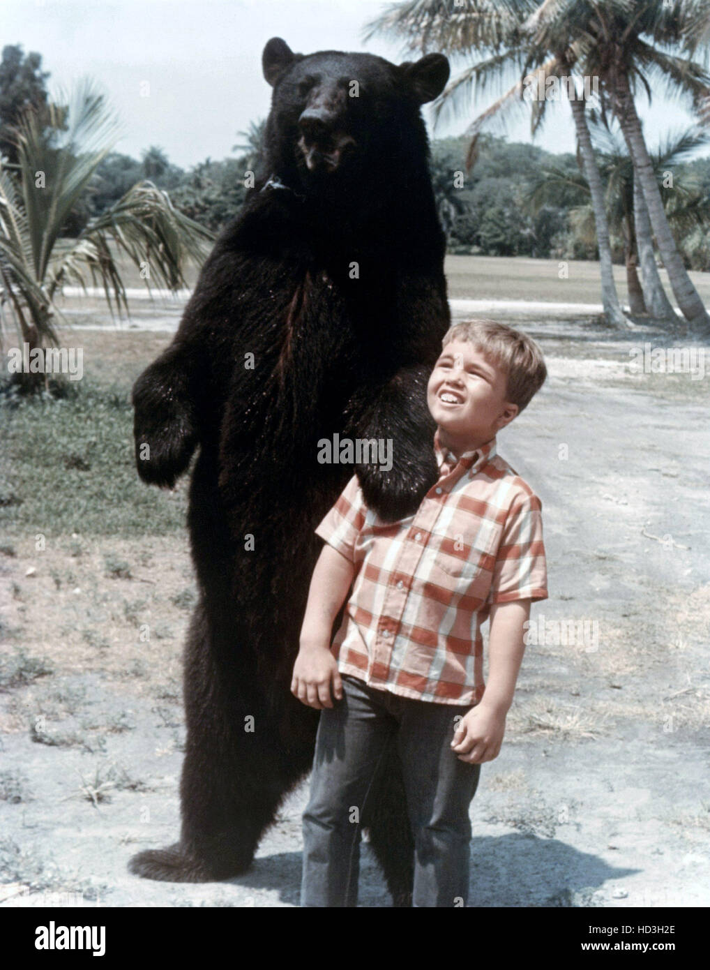 GENTLE BEN, Gentle Ben, Clint Howard, 1967-69 Stock Photo - Alamy